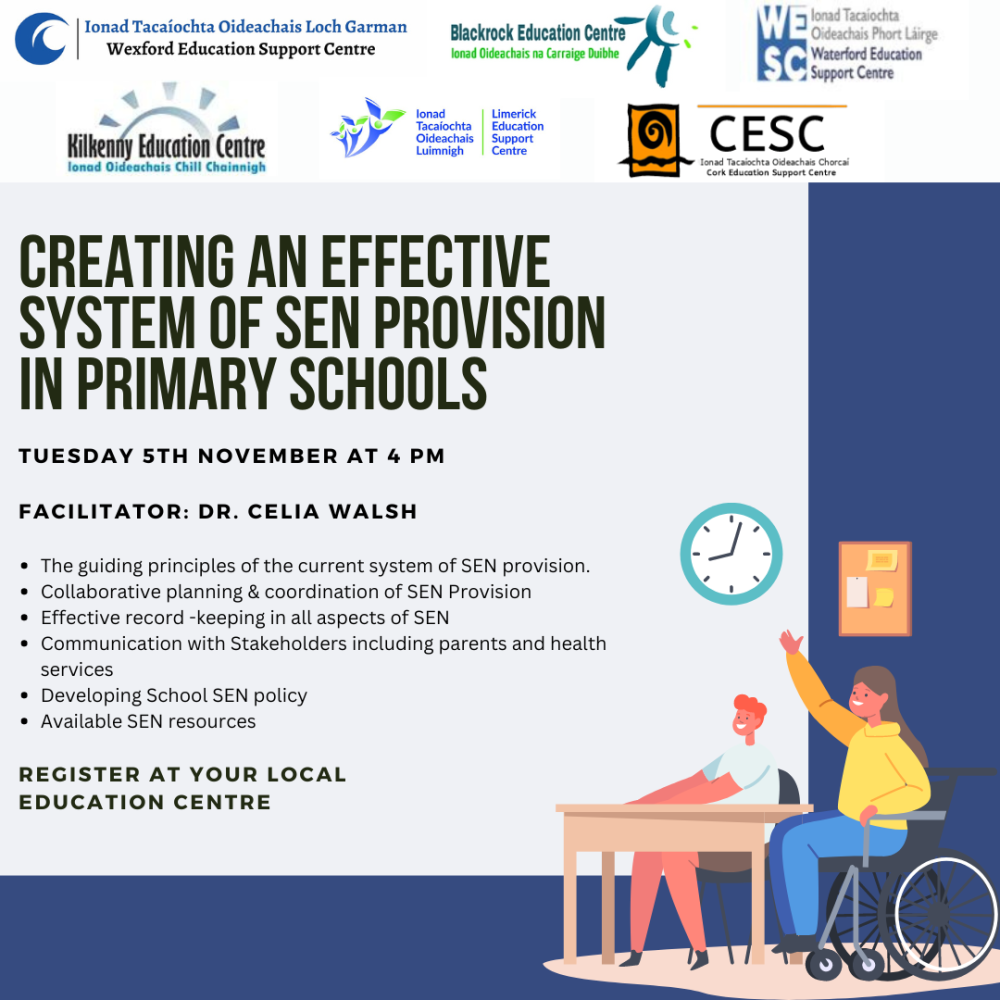 Creating an Effective System of SEN Provision in Primary Schools-Primary